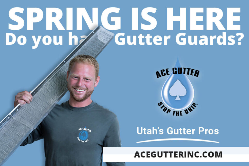 Why Gutter Guards Cleaning Should Be Your Priority This Spring | Ace ...