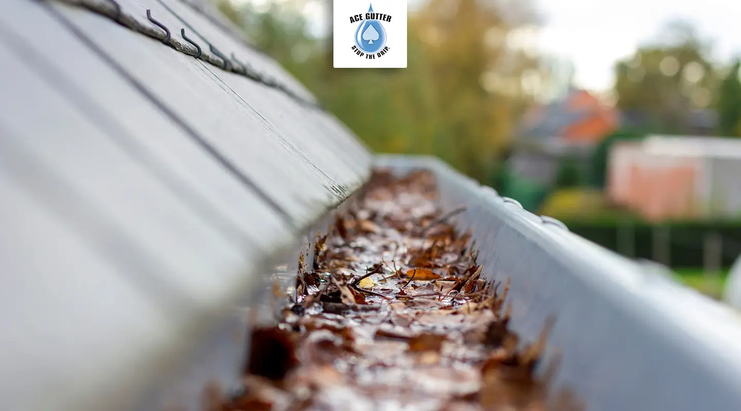 How Spring Gutter Cleaning Helps Protect Your Roof and Home in Utah ...